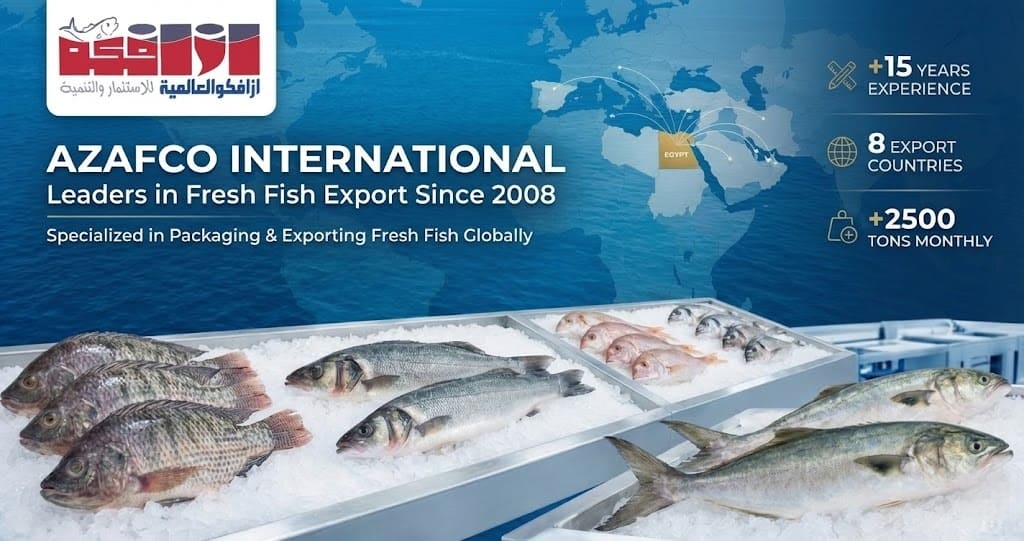 300+ Employee Fish Export Company Since 2008 | AZAFCO International ...
